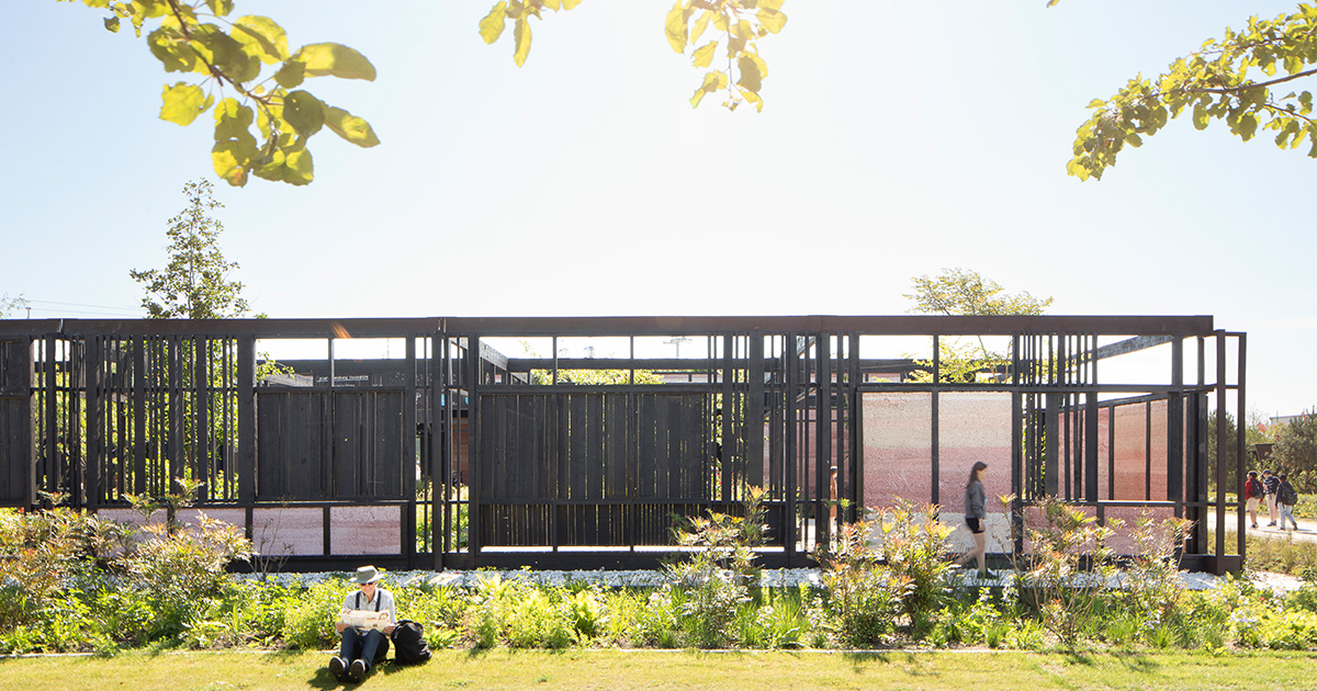 Rewilding Urban Spaces